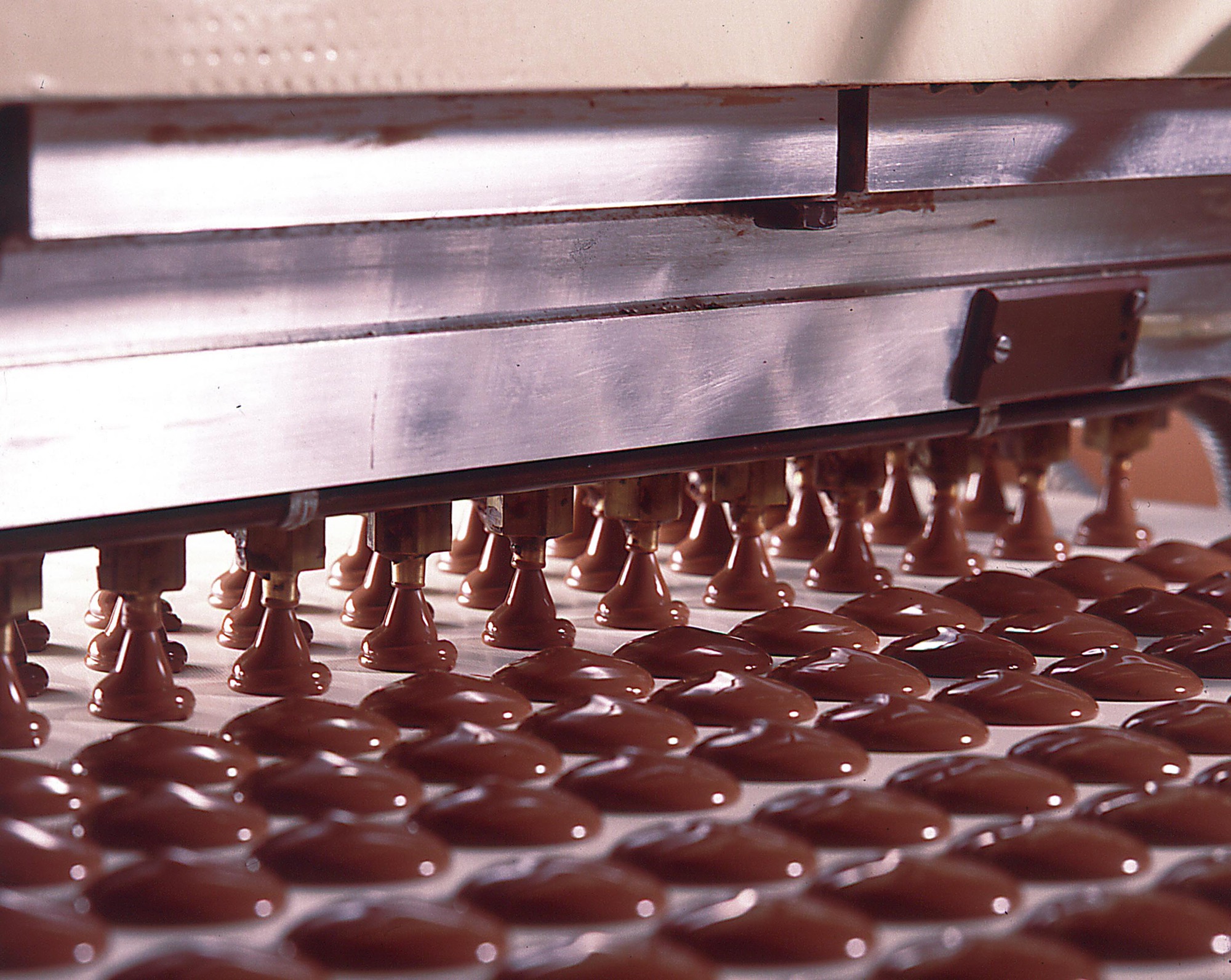 Cacao Trace by Puratos: Vị ngọt của những trái đắng