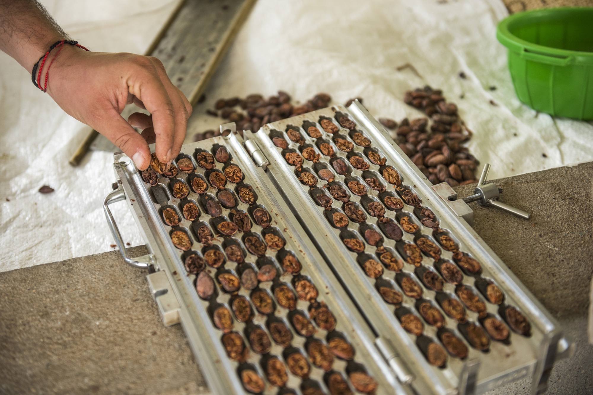 Cacao Trace by Puratos: Vị ngọt của những trái đắng